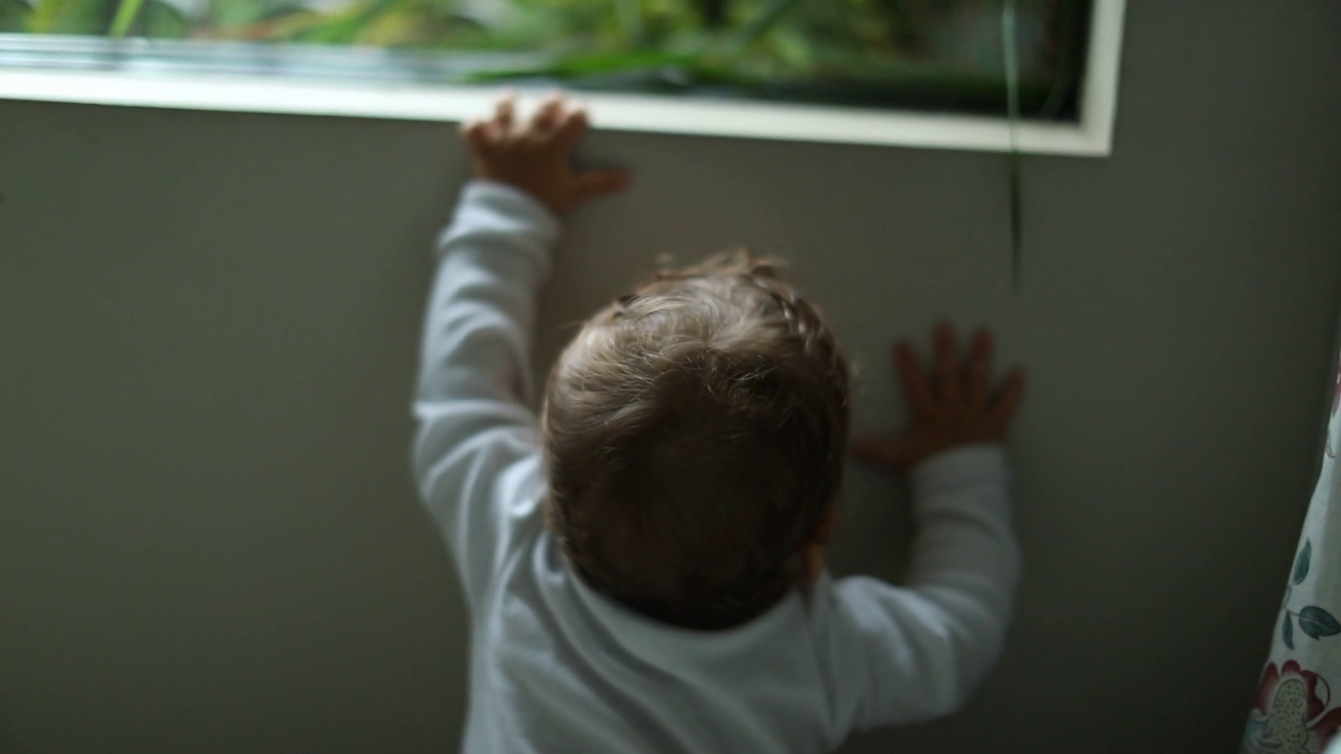 Infant Year Old Baby Standing Window Looking Stock Footage SBV ...