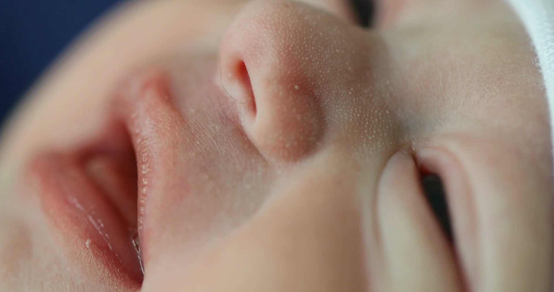 Miniature Visage: Macro Close-up Of Newborn Stock Footage SBV-348433400 ...