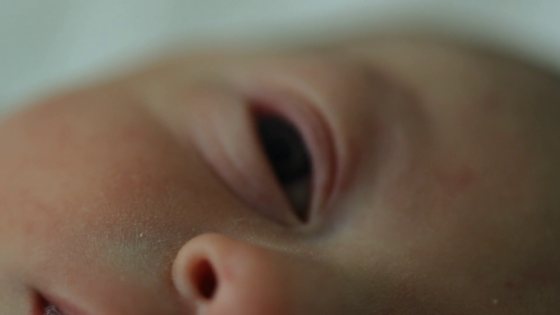 Precious Beginnings: Macro Closeup Of Stock Footage SBV-348435174 - Storyblocks