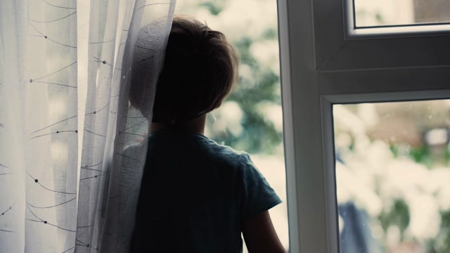 Look Out Window Stock Footage: Royalty-Free Video Clips - Storyblocks