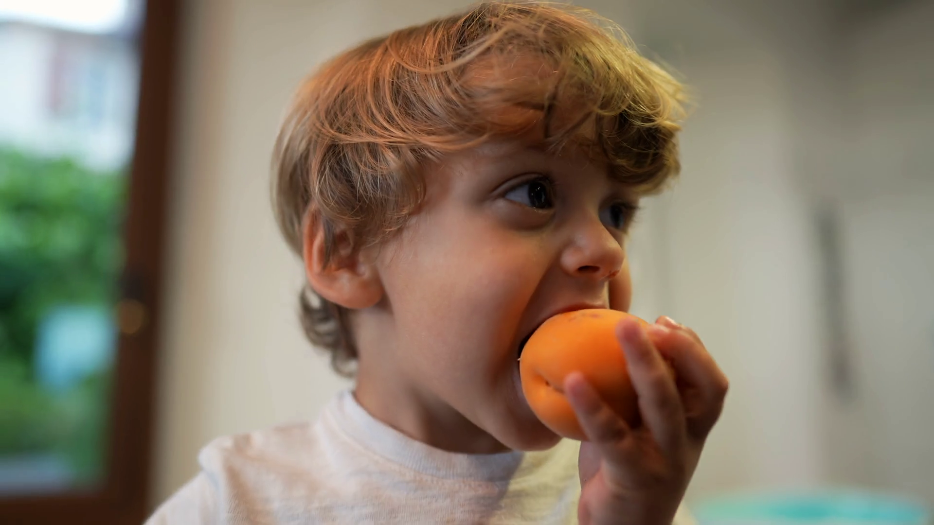 One Little Boy Eats Apricot Fruit Portratic Stock Footage SBV-348899261 ...