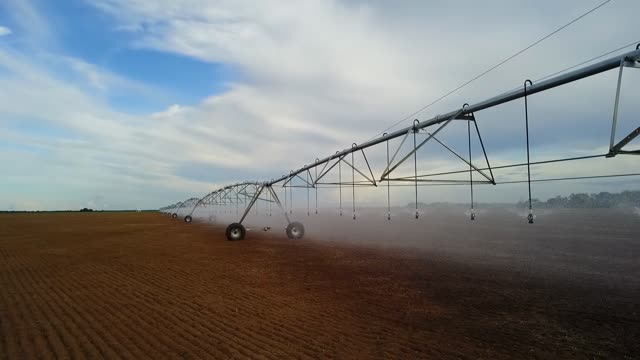 Irrigation Drip Line Stock Footage: Royalty-Free Video Clips - Storyblocks