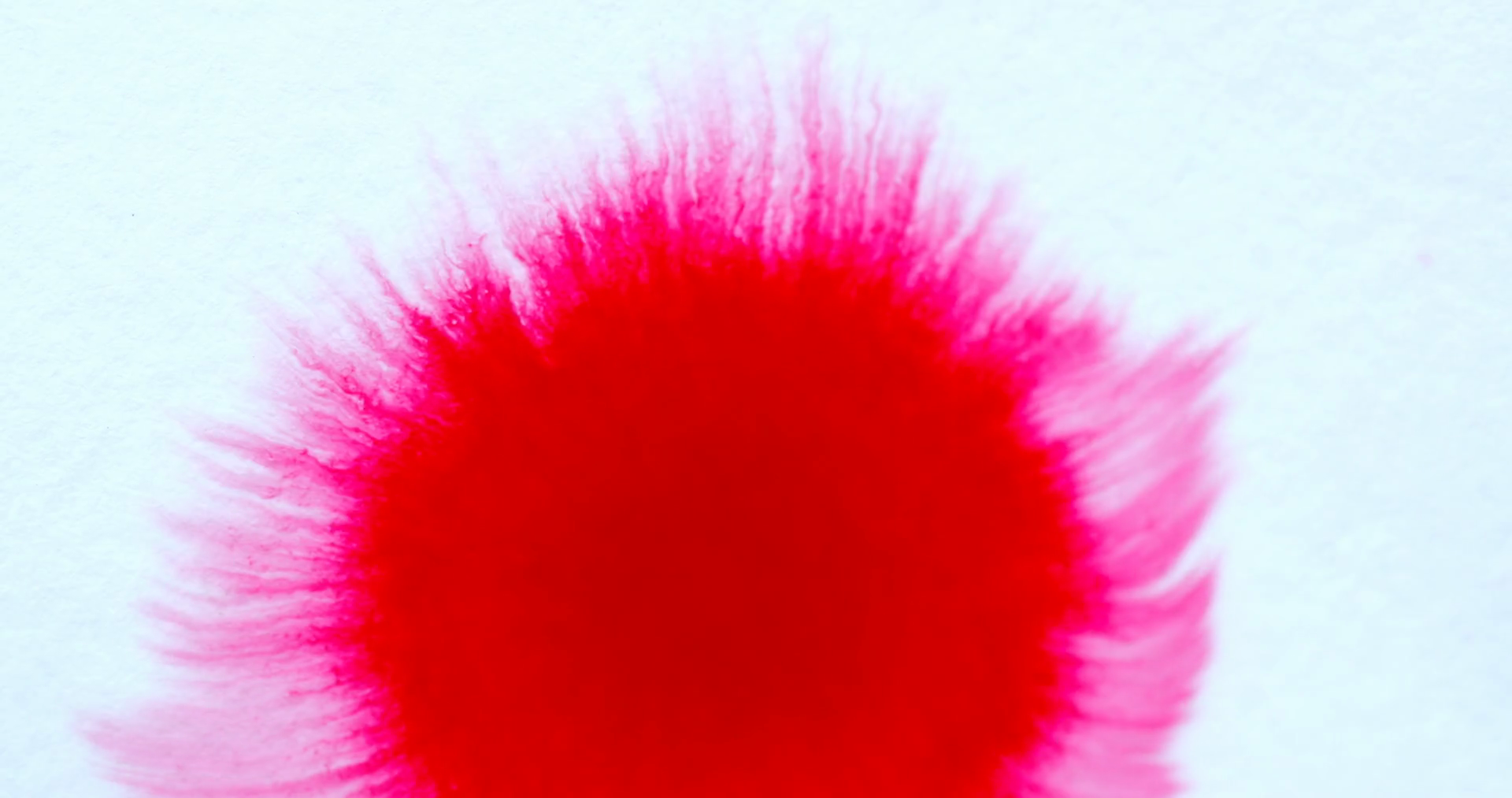 Splattering Blood Ink On White Background Stock Footage SBV-348475078 ...