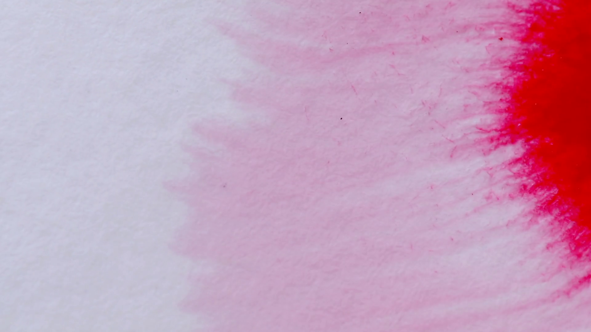 Splattering Red Color Of Blood On Parchment Stock Footage SBV-348476916 ...