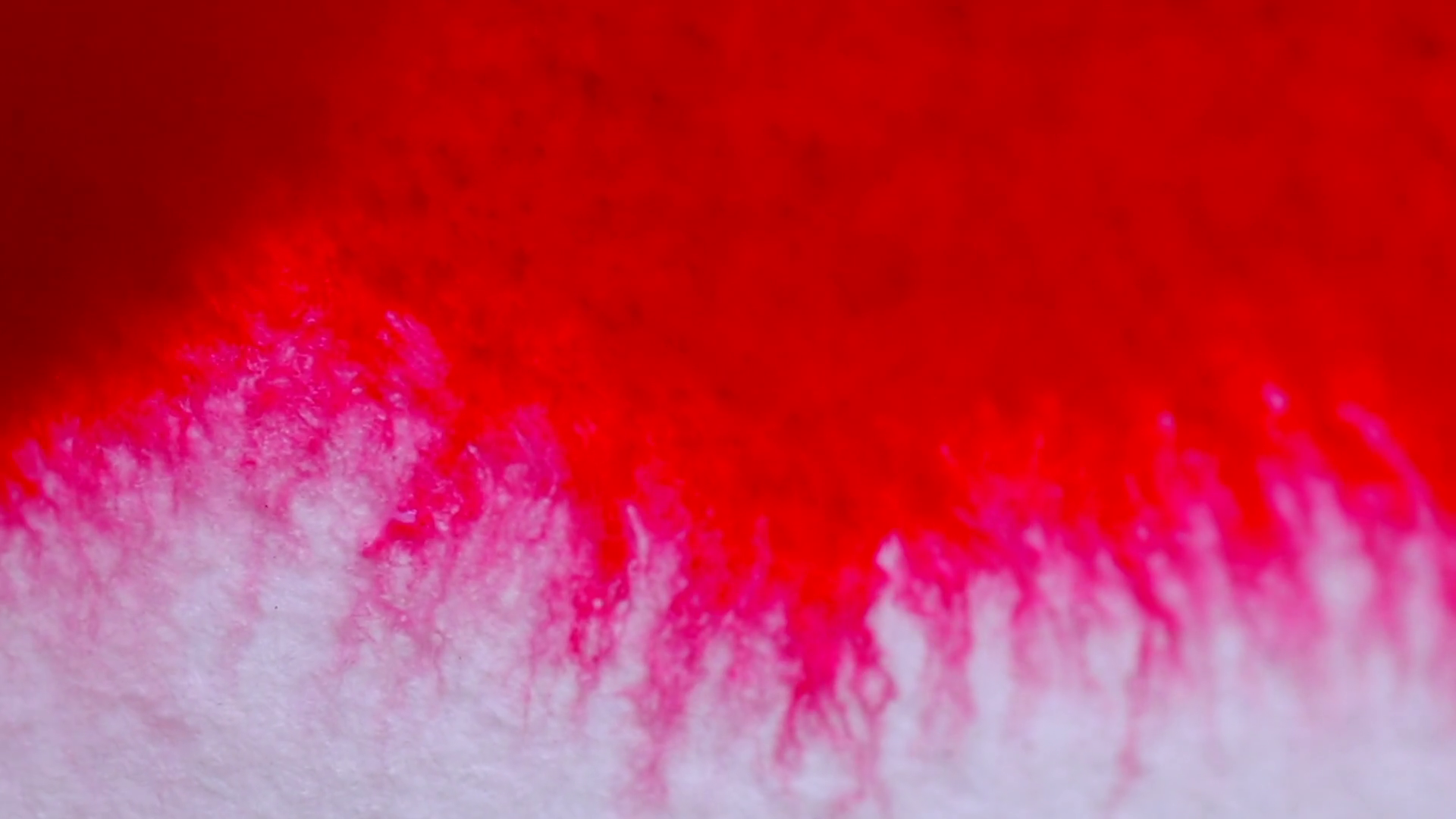 Splattering Red Ink On Parchment Paper With Stock Footage SBV-348476994 ...