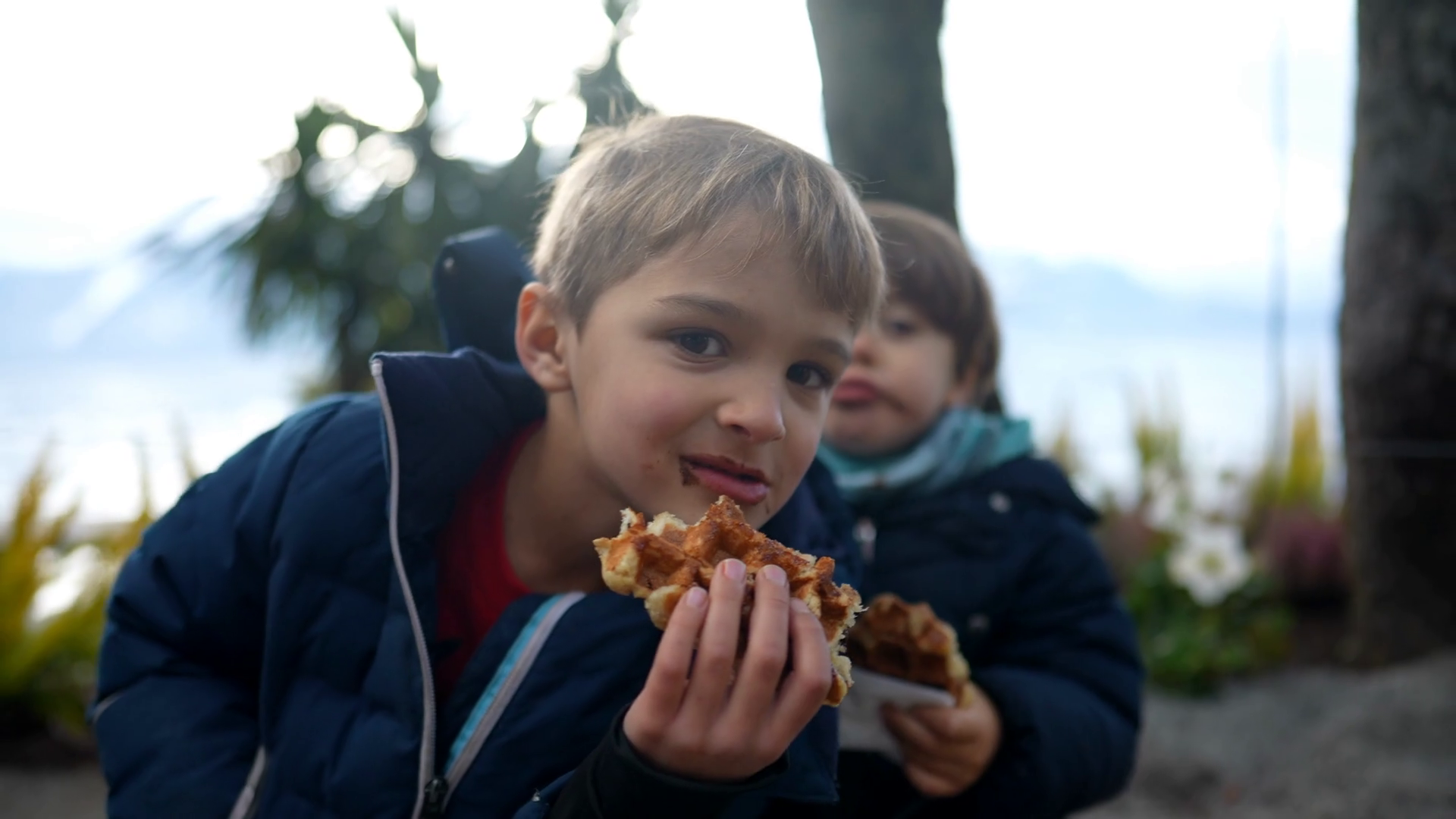 Two Brothers Eating Belgium Waffles Children Stock Footage SBV ...