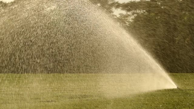 Sprinkle Background Stock Footage: Royalty-Free Video Clips - Storyblocks