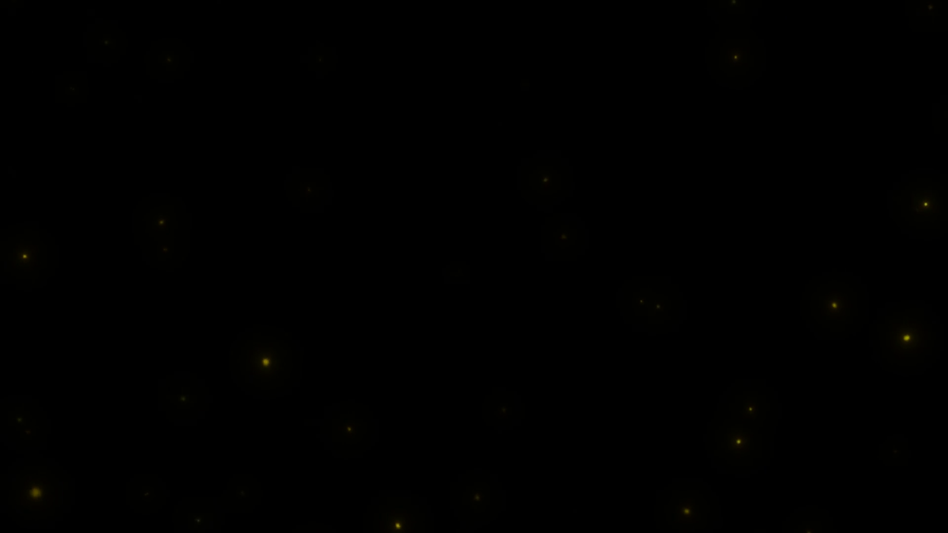 Concept 3-l1 View Of Flying Fireflies Stock Motion Graphics SBV ...