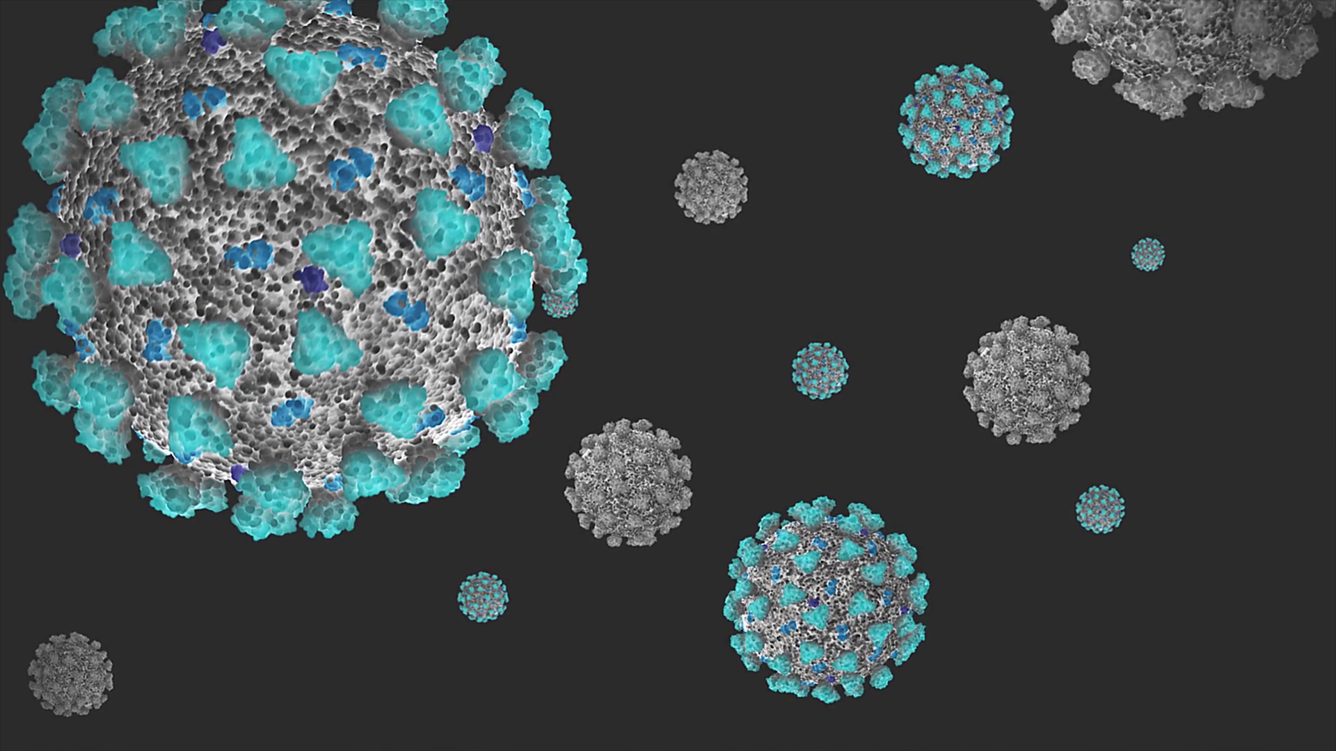 Concept 14-v1 3d Animation Of Coronavirus Stock Motion Graphics SBV ...