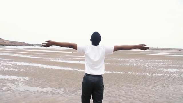 Serge Pillars Stock Footage: Royalty-Free Video Clips - Storyblocks