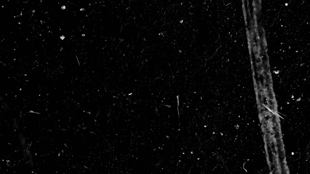 Old Footage Effect | Effects and Overlays motion backgrounds - Storyblocks