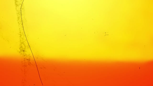 Smooth Animated Transitions Stock Footage: Royalty-Free Video Clips ...