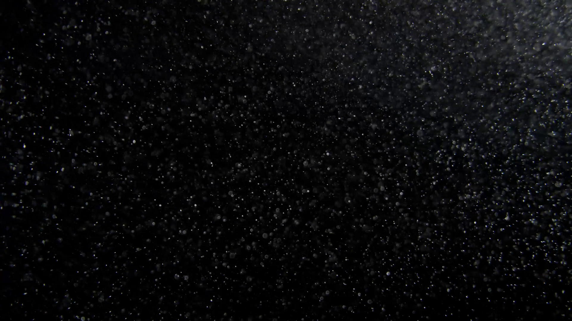 Dust Particles Atmosphere On Black Screen Stock Motion Graphics SBV ...