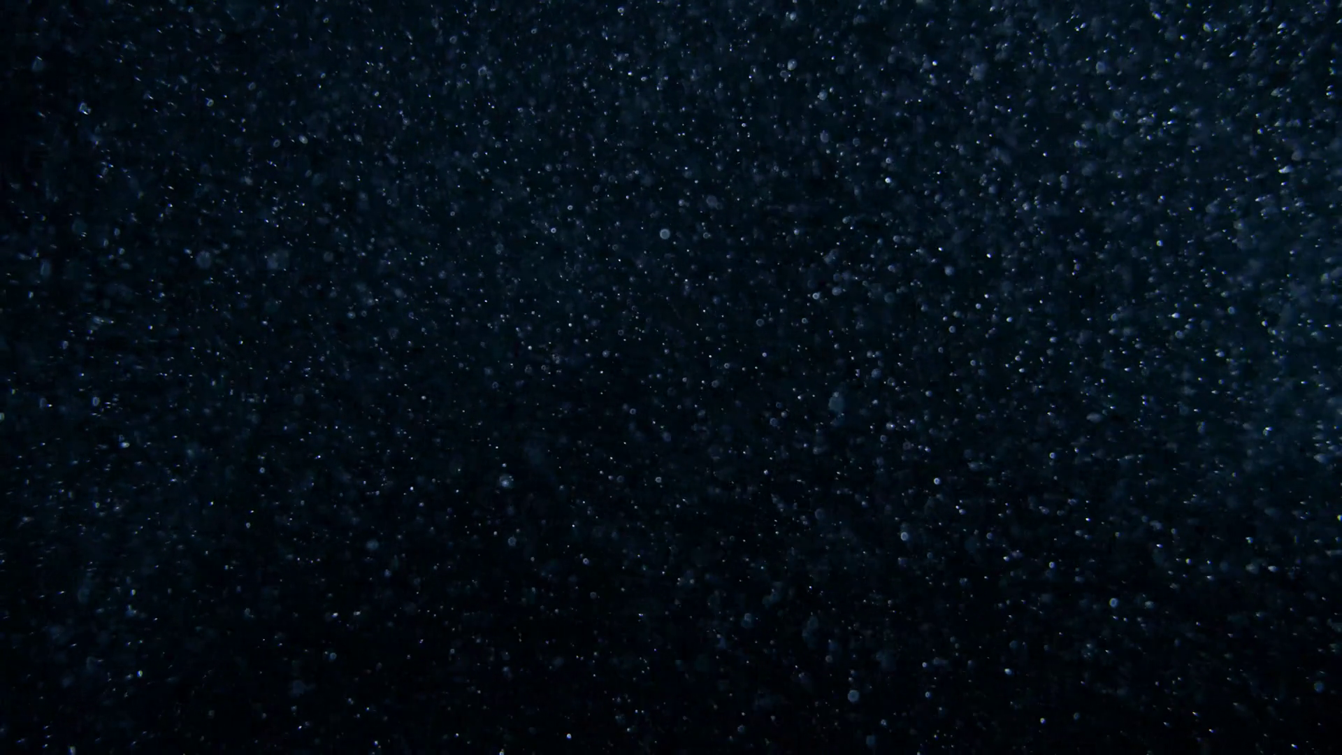 Dust Particles Atmosphere On Black Screen Stock Footage SBV-347773878 ...