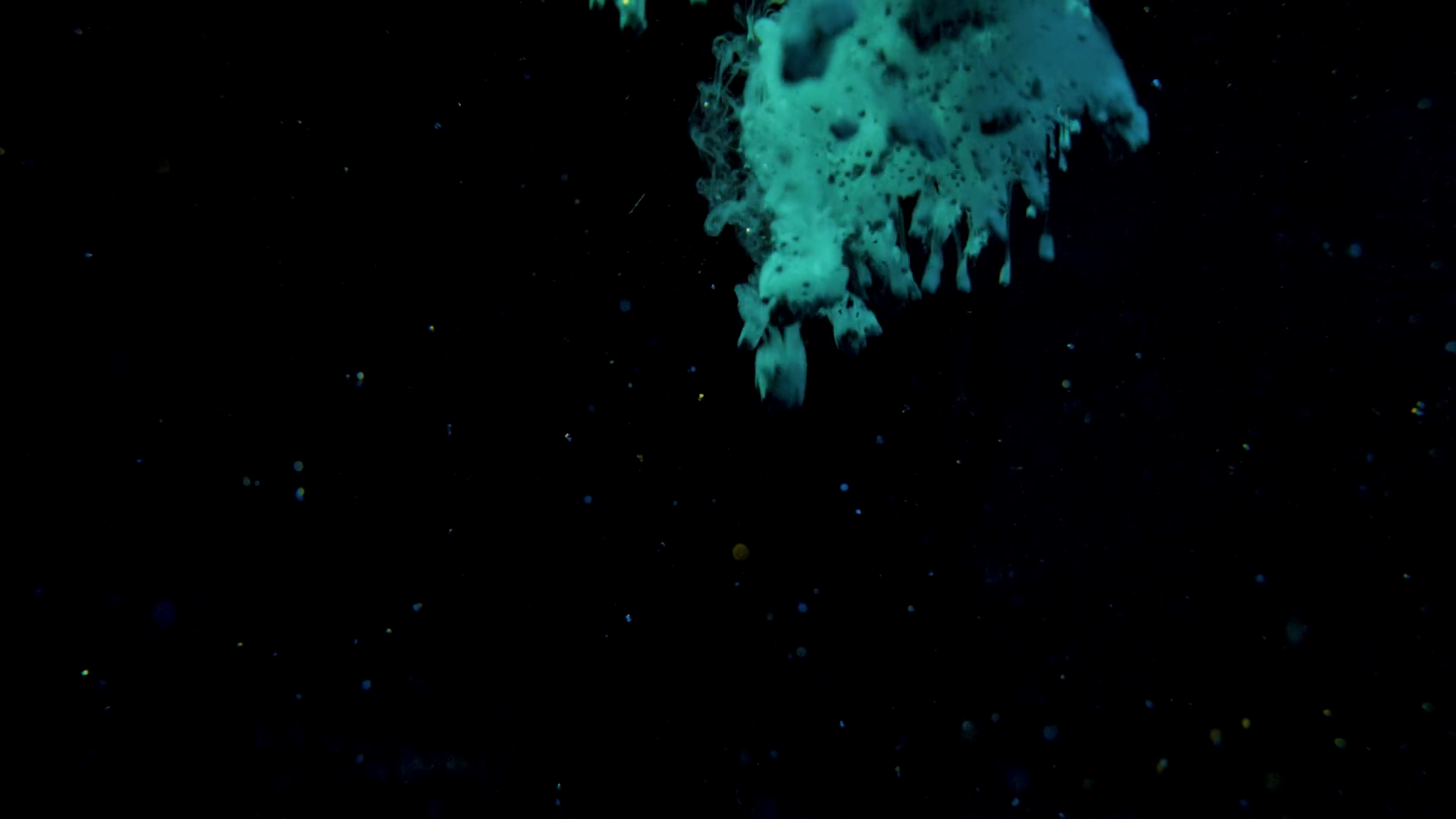 Underwater Splash Ink Water Mix Abyss Wave Stock Footage SBV-348516288 ...