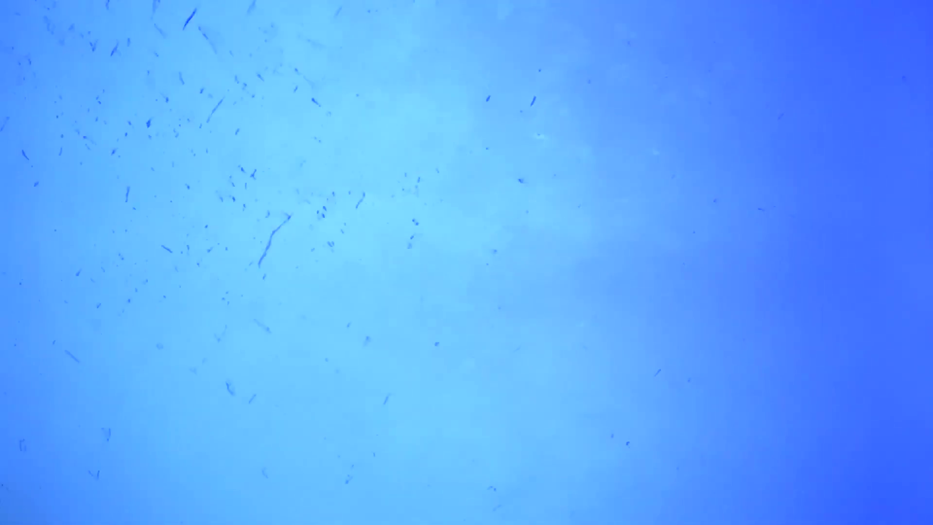 Glitch Flash Scratch Blue Overlay Video Stock Motion Graphics SBV ...