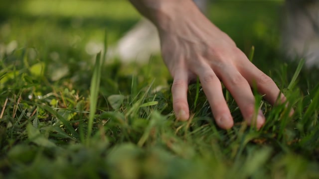 Feel Texture Stock Footage: Royalty-Free Video Clips - Storyblocks
