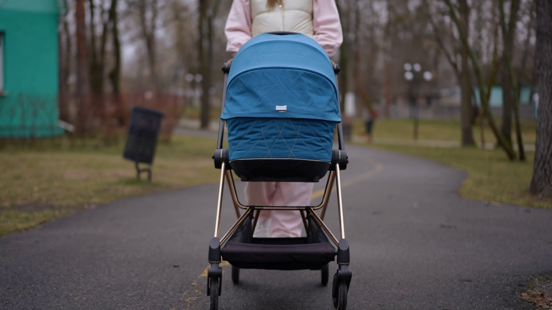 Front View Blue Baby Stroller With Pregnant Stock Footage SBV-348448768 ...