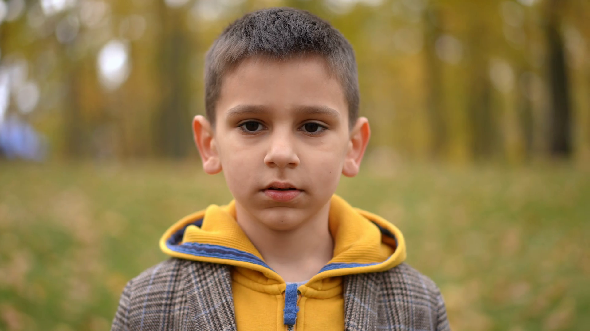 Close-up Front View Confident Boy Looking At Stock Footage SBV ...