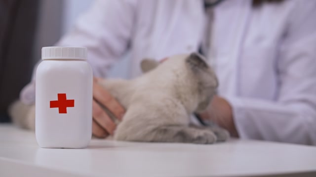 Poisoning Human Stock Footage: Royalty-Free Video Clips - Storyblocks