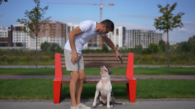 Bad Dog | Animals stock footage - Storyblocks