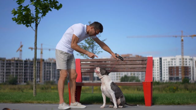 Bad Behavior Man Stock Footage: Royalty-Free Video Clips - Storyblocks