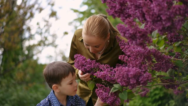 Kid Smells Flowers Stock Footage: Royalty-Free Video Clips - Storyblocks