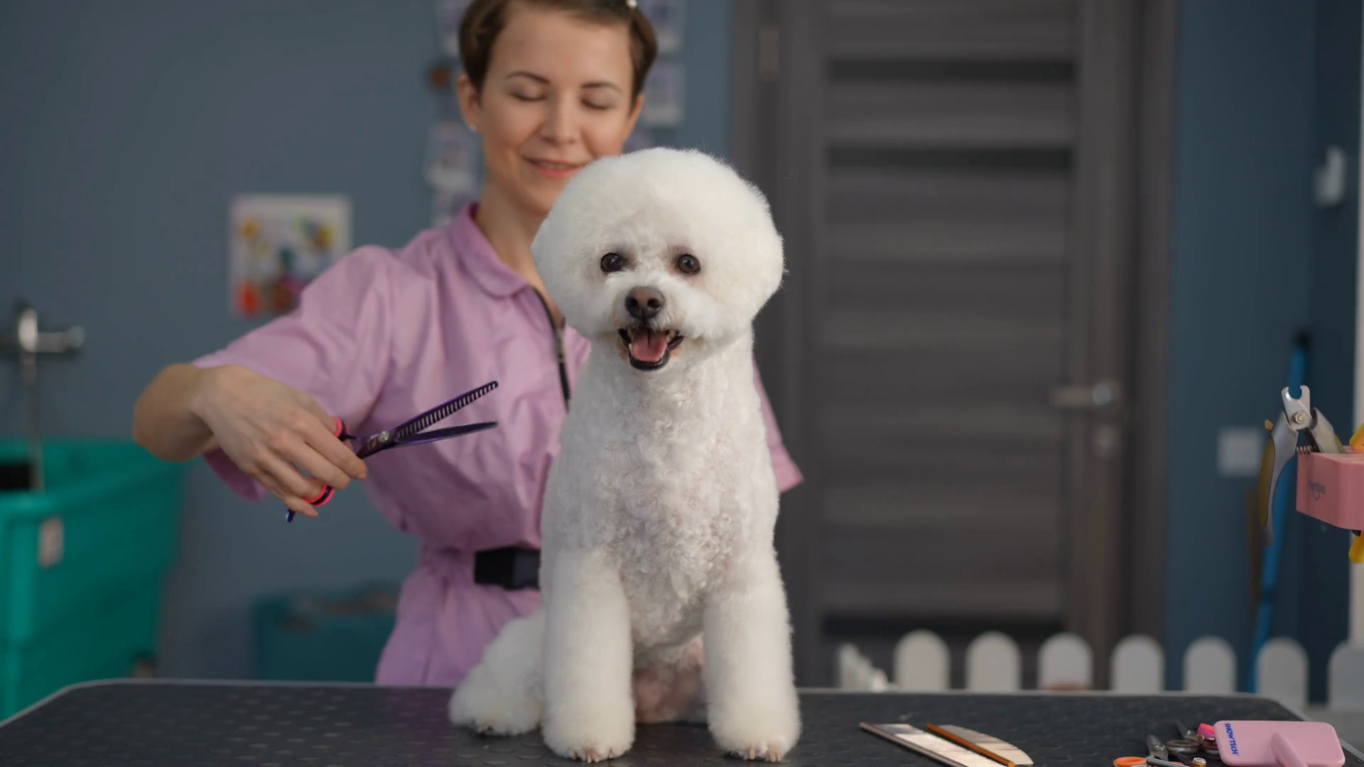 Beautiful Young Female Groomer Smiling Stock Footage SBV-348751685 ...