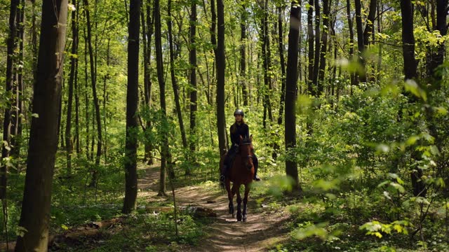 Horse Riders Forest Stock Footage: Royalty-Free Video Clips - Storyblocks