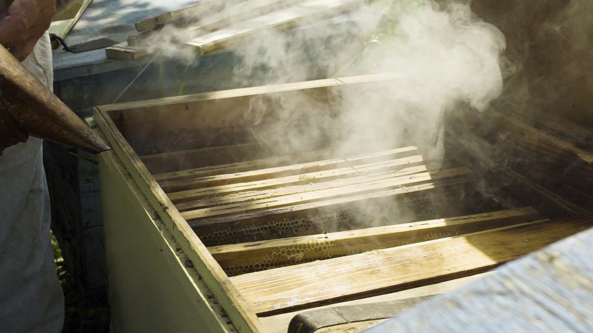 Beekeeper using bee smoker for fumigation beehive, slow motion Stock ...