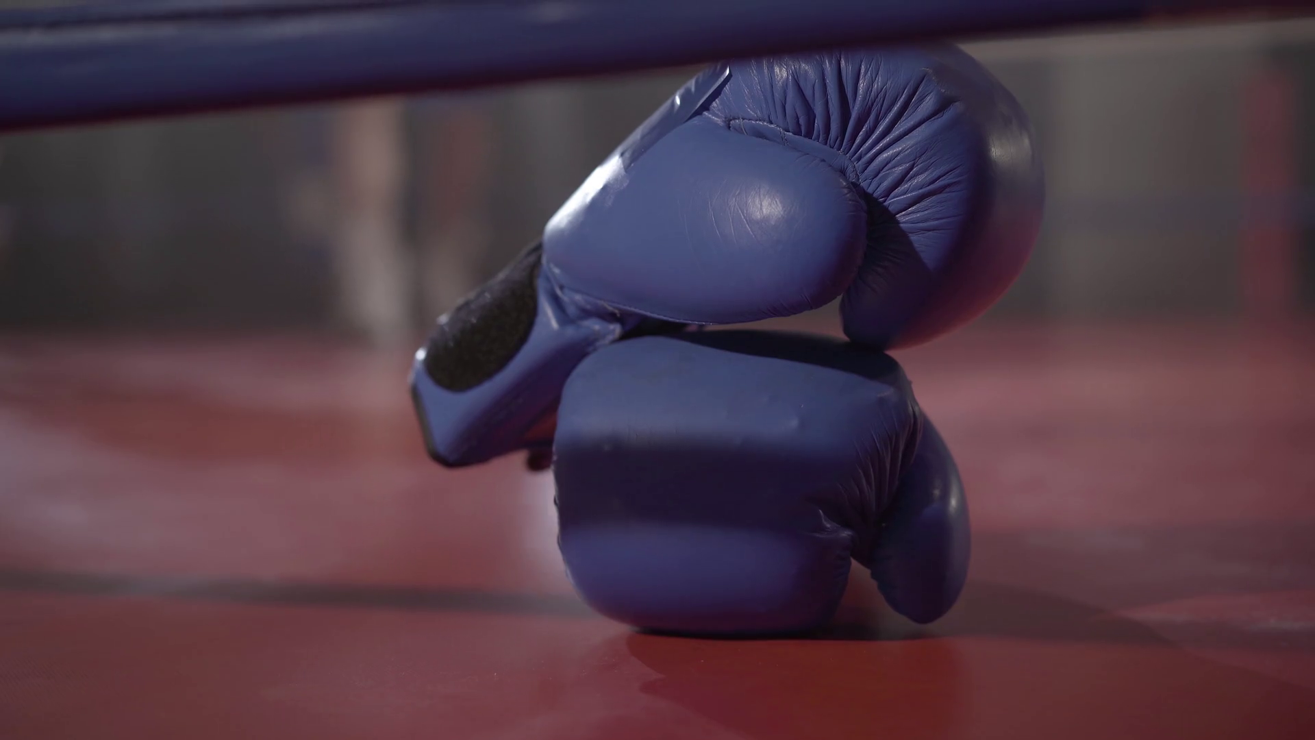 Blue Boxing Gloves Lying On Ring Stock Footage SBV-338551109 - Storyblocks