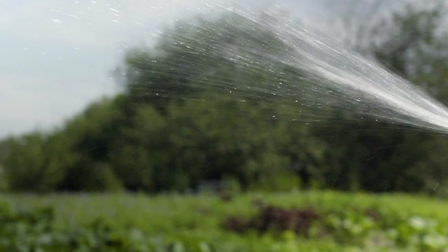 Water Hose Stock Footage: Royalty-Free Video Clips - Storyblocks