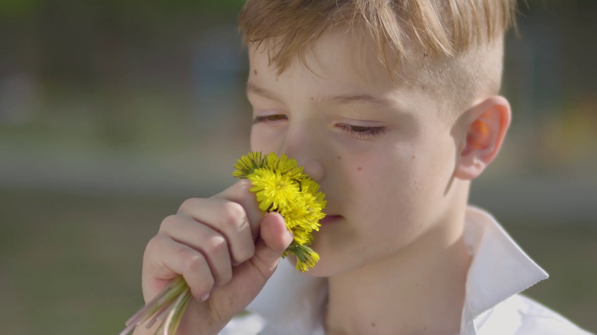 Young Boy Enjoying Nature In Park Stock Footage SBV-335049005 - Storyblocks