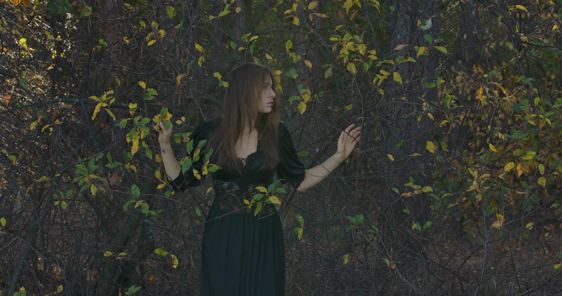 Woman Hiding In The Bushes