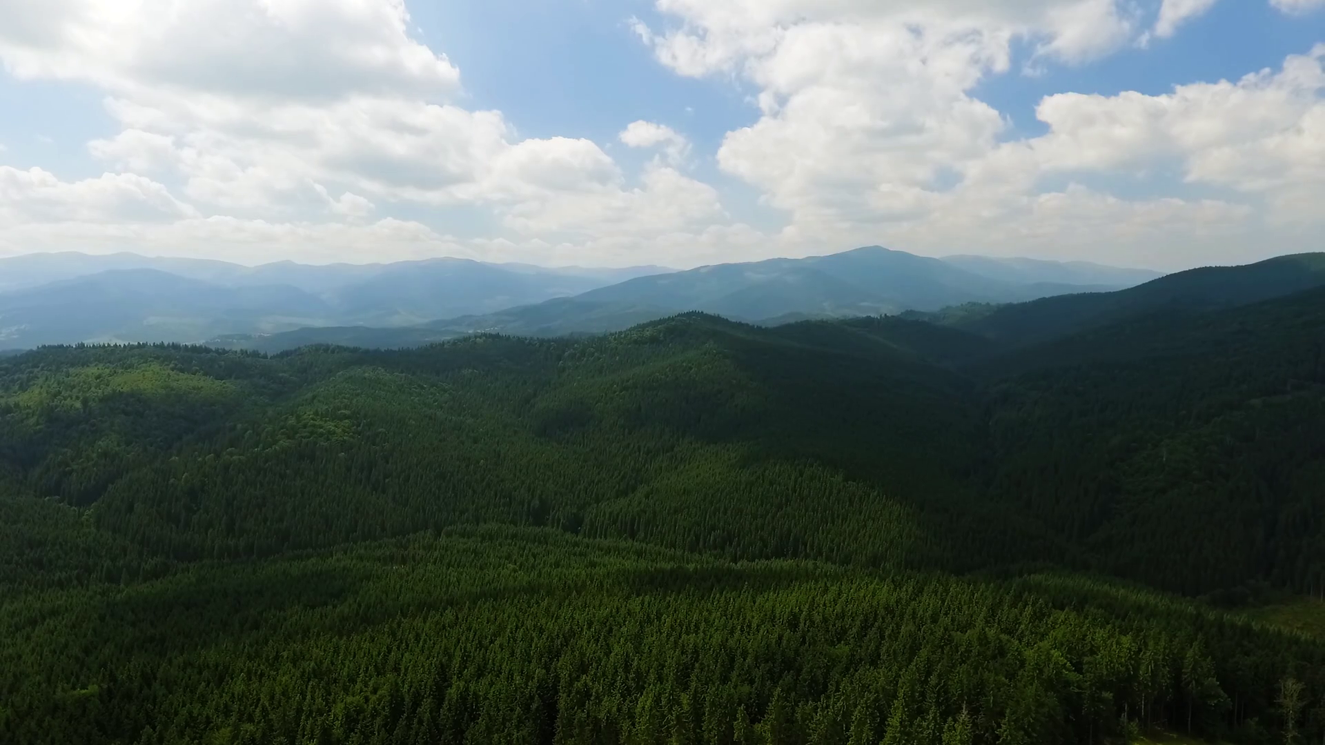 Top View Of Mountains Covered With Trees Stock Footage SBV-337710277 ...