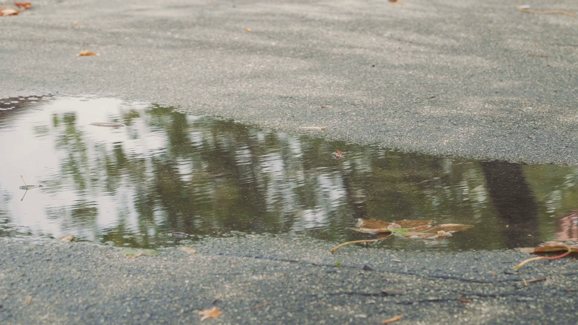 Woman Walks Over Puddle Stock Footage SBV-317947807 - Storyblocks