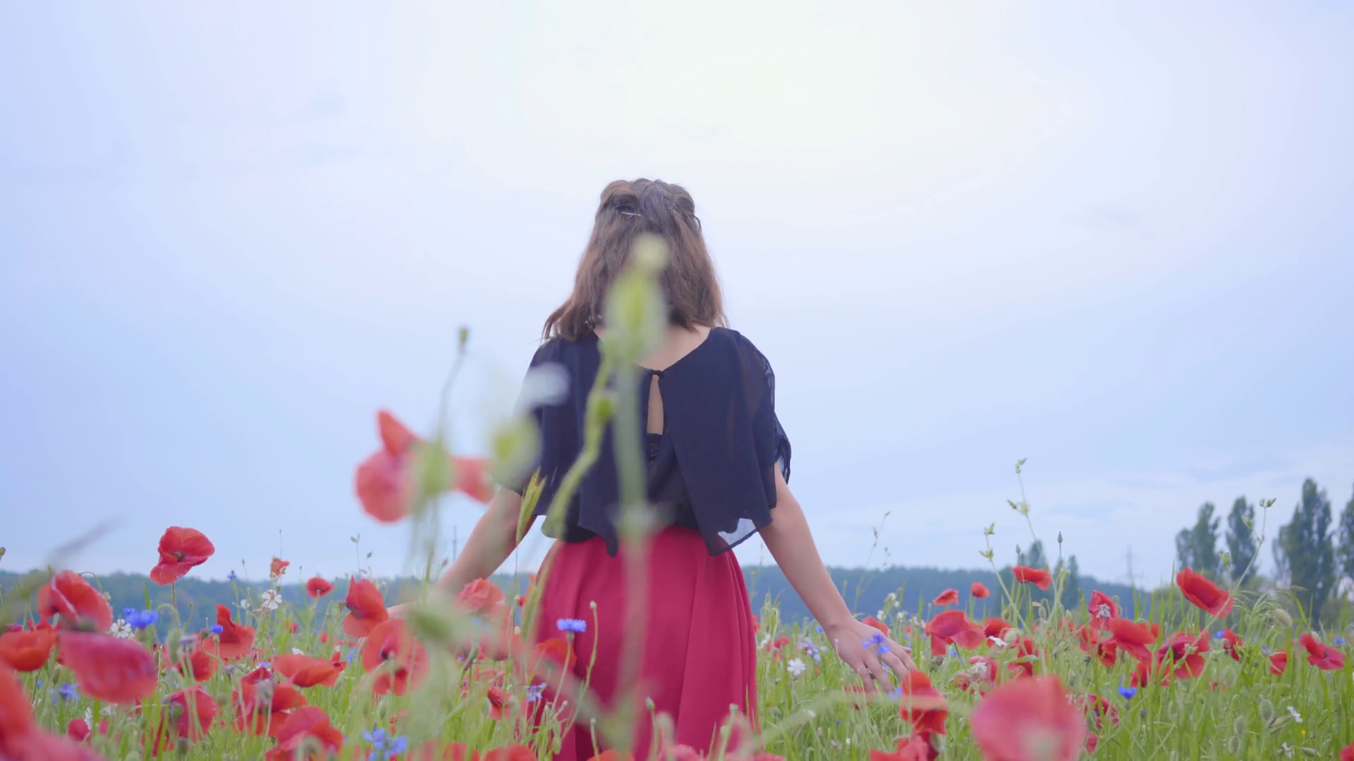 Exploring Poppy Field: Gentle Touch Nature's Stock Footage SBV ...