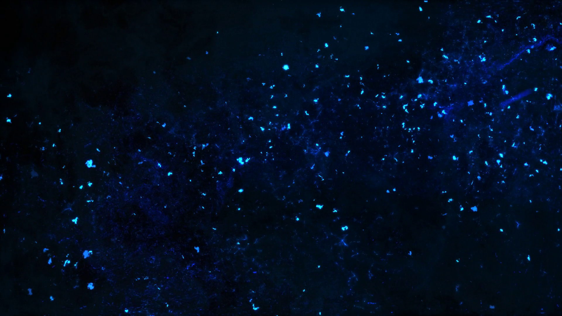 Impact Blue Lava Fire Particles Loop Stock Motion Graphics SBV-351738184 - Storyblocks