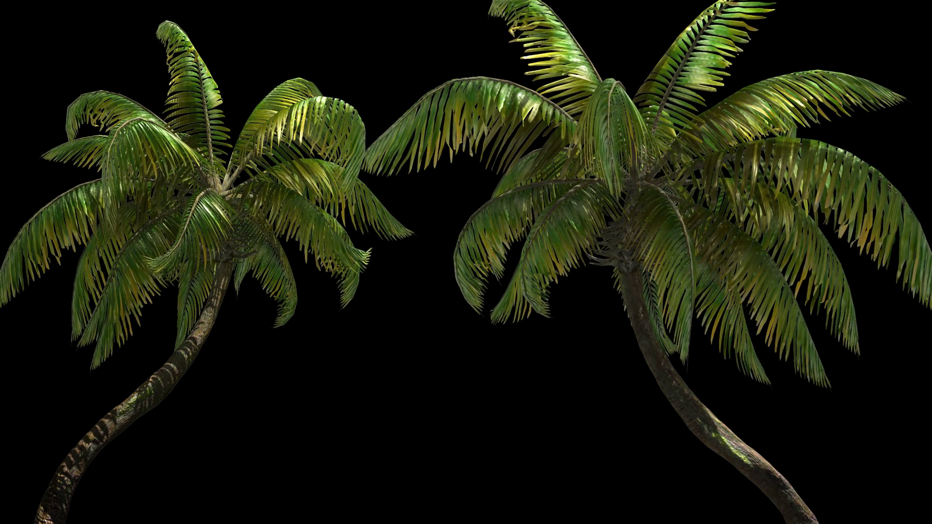 Palm Tree Animation On Plant World Tree With Stock Motion Graphics SBV ...