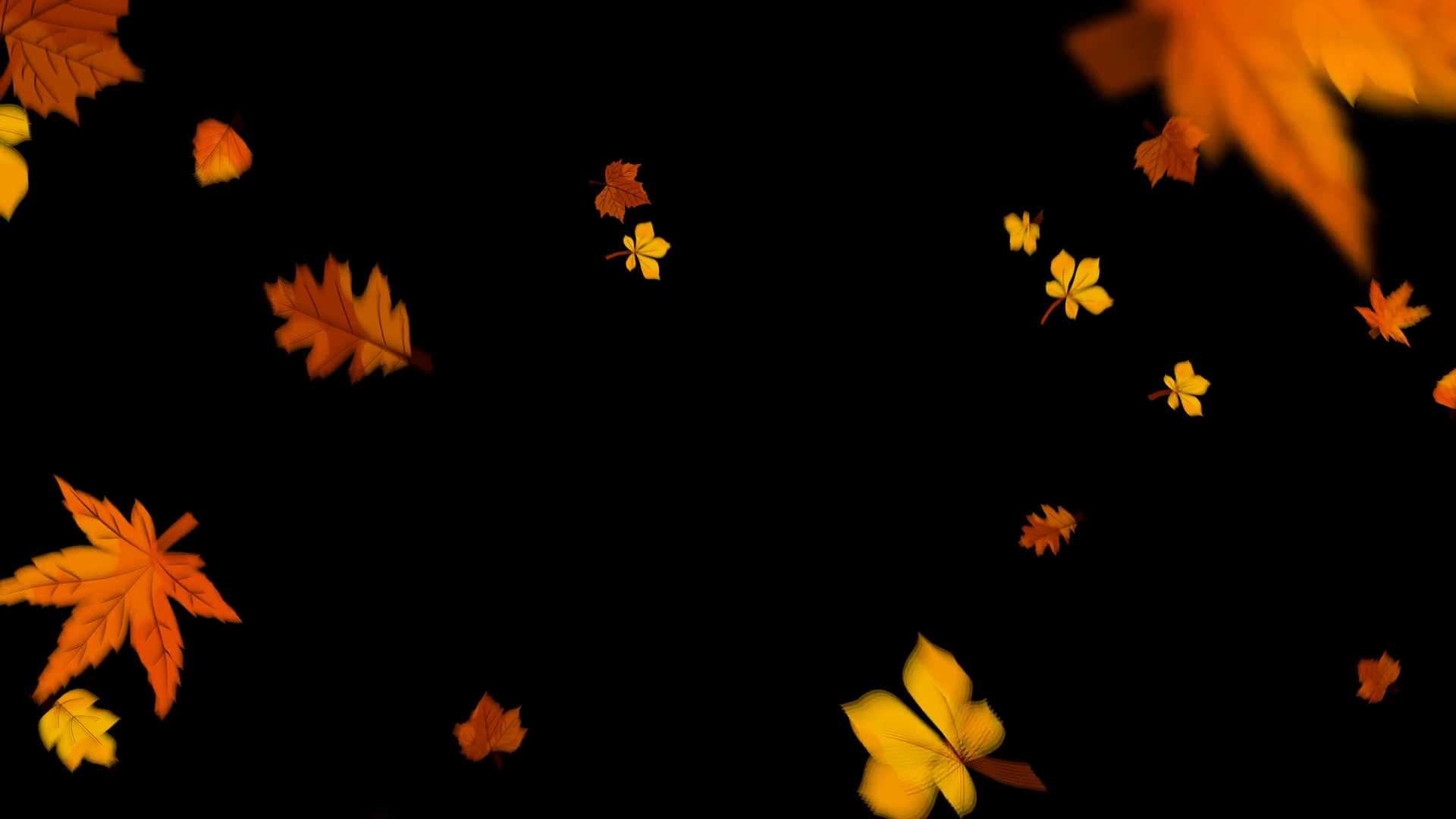 Autumn Leaf Overlays Autumn Leaf Falling Stock Motion Graphics SBV ...