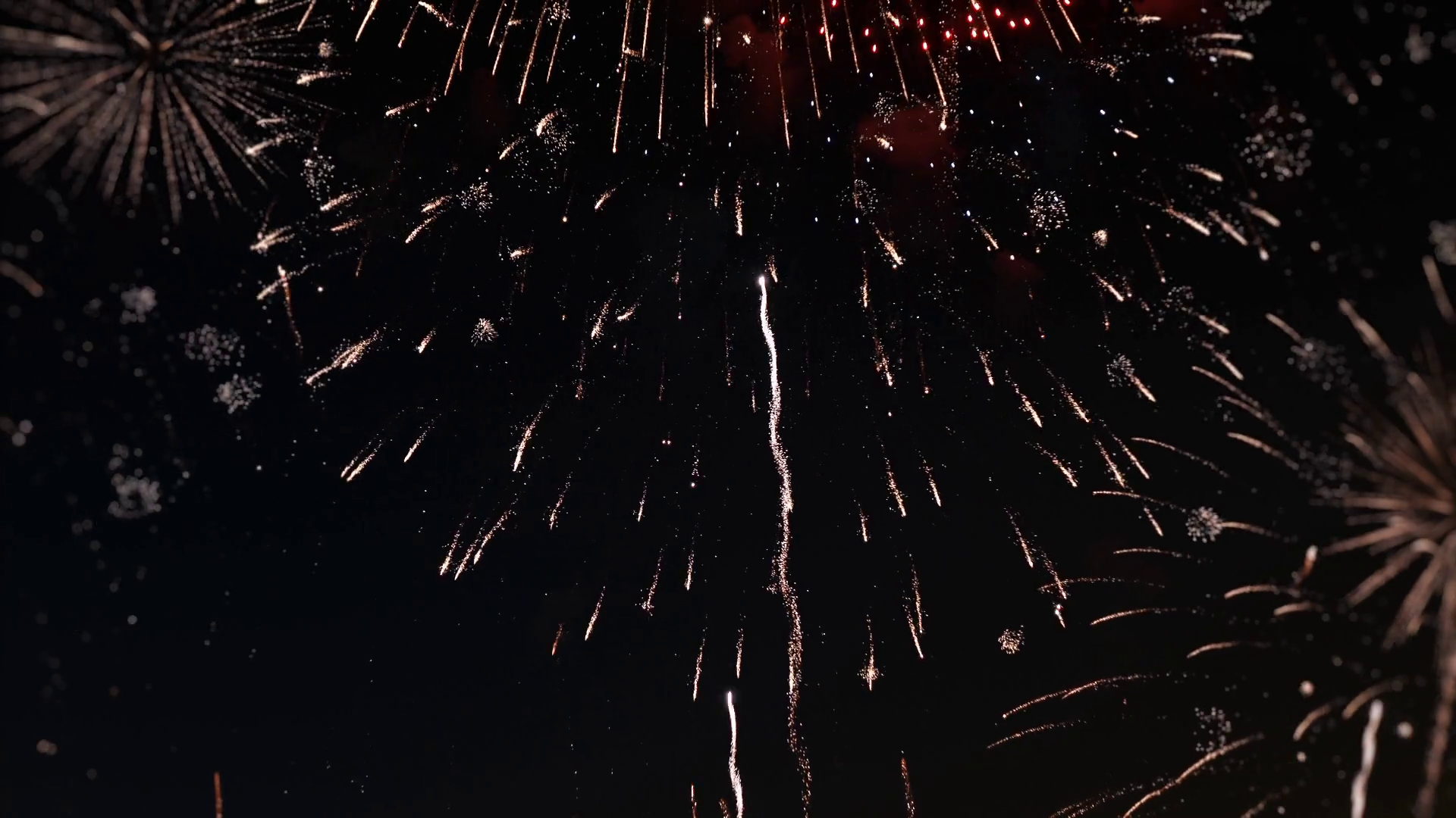 Fireworks Celebrate Fireworks Celebrate Stock Motion Graphics SBV ...
