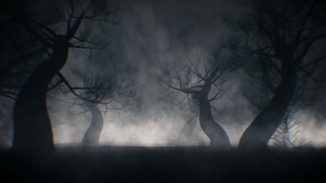 Forest Background | Colors motion backgrounds - Storyblocks