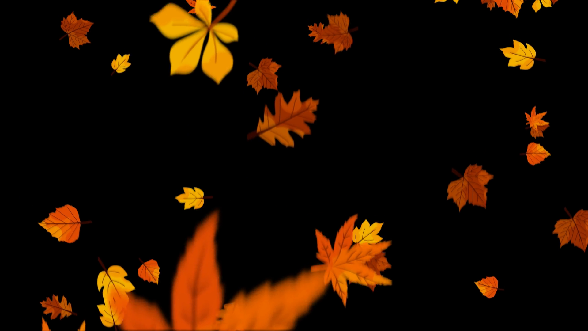 Leaf Falling Autumn Season Leaf Falling Stock Motion Graphics SBV ...