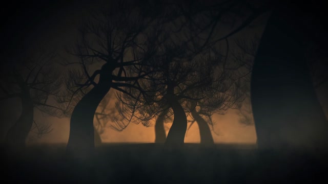 Foggy Forest | Effects and Overlays motion backgrounds - Storyblocks