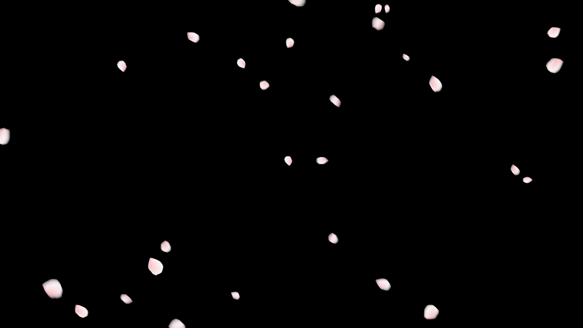 Sakura Petals Falling Sakura Petals Falling Stock Motion Graphics SBV ...