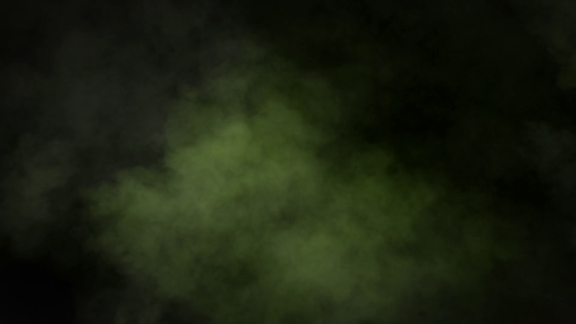 Night Forest Background Night Forest Stock Motion Graphics SBV ...