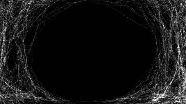 Spider | Effects and Overlays motion backgrounds - Storyblocks