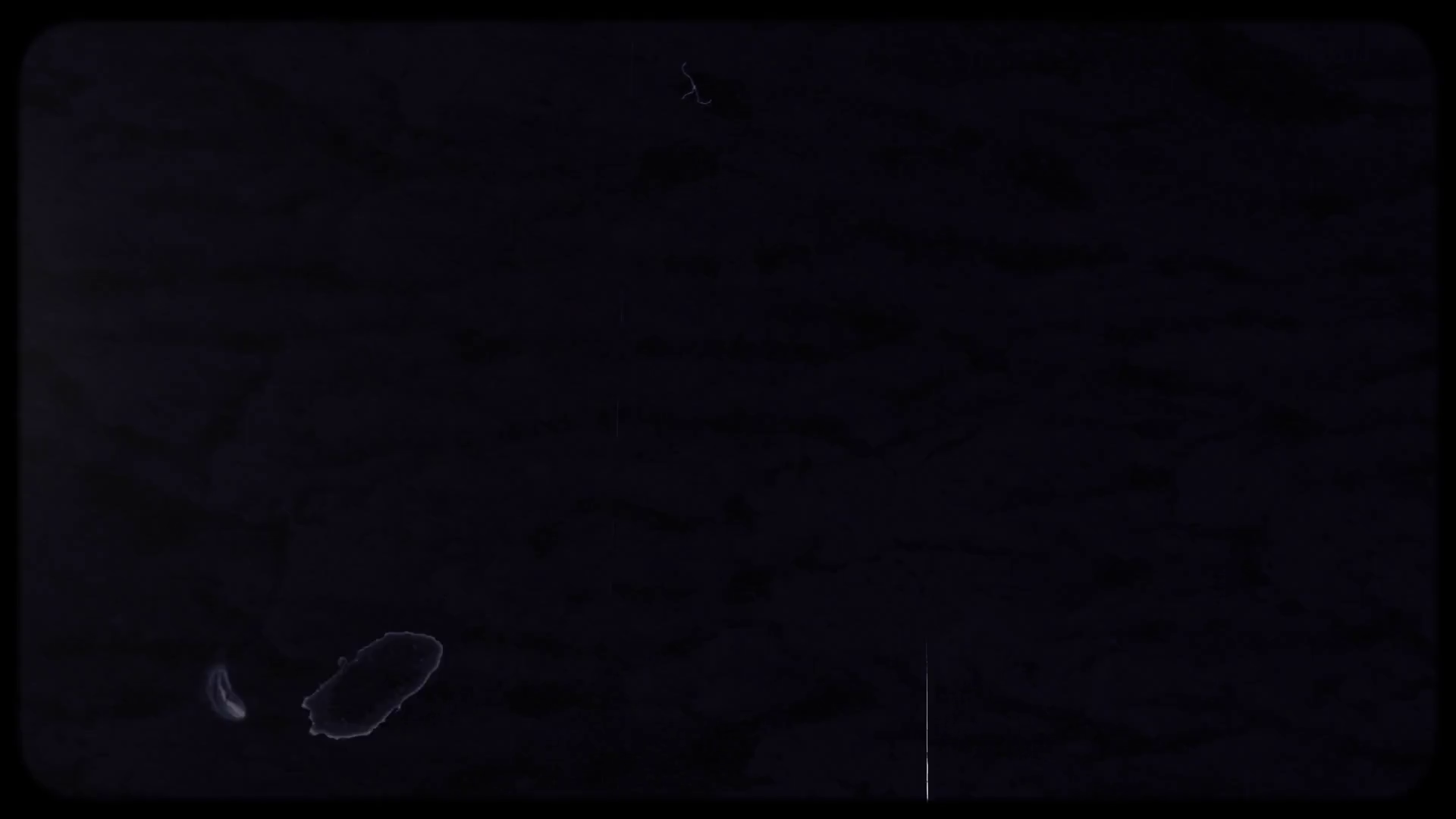 Old Film Effect Wipe Stock Motion Graphics SBV-352551143 - Storyblocks