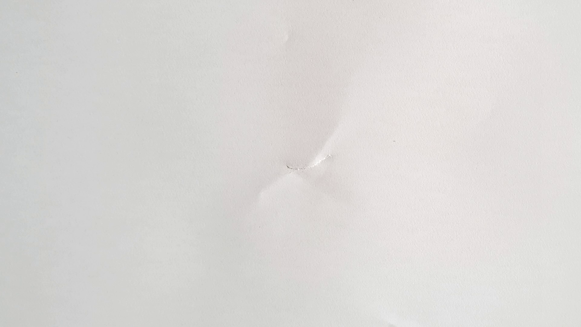 Paper Tear Overlay Stock Motion Graphics SBV-351924535 - Storyblocks