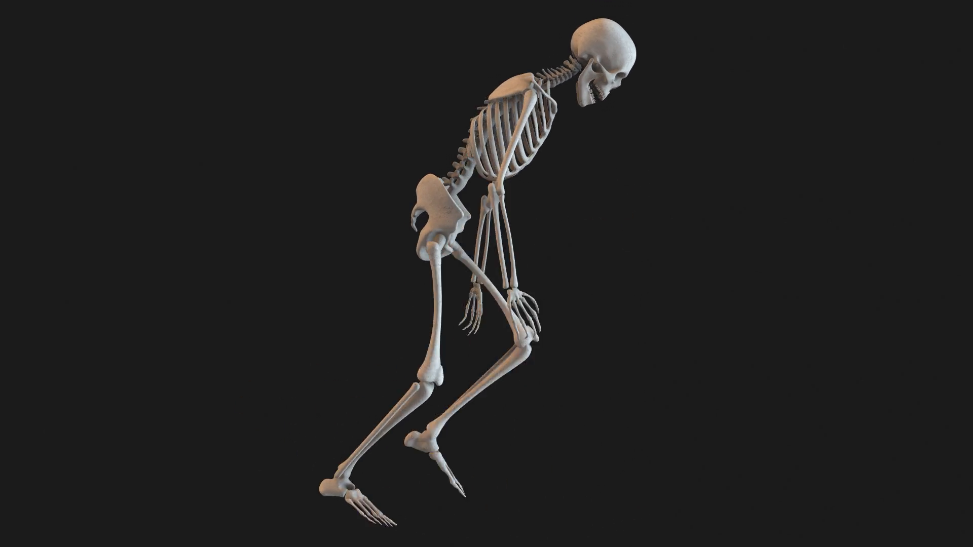 Skeleton Clumsy Walk Cycle Loop 01 Stock Motion Graphics SBV-351887151 - Storyblocks